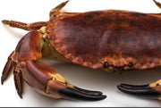 JUMBO Whole Cooked Crab Claws ( 2 kg pack ) only £62.50 from The ...